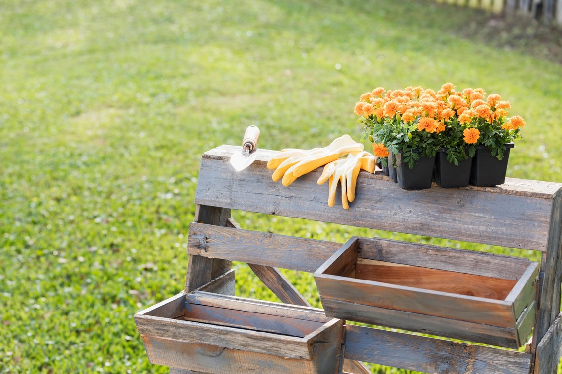 Interest Groups - Reading u3a