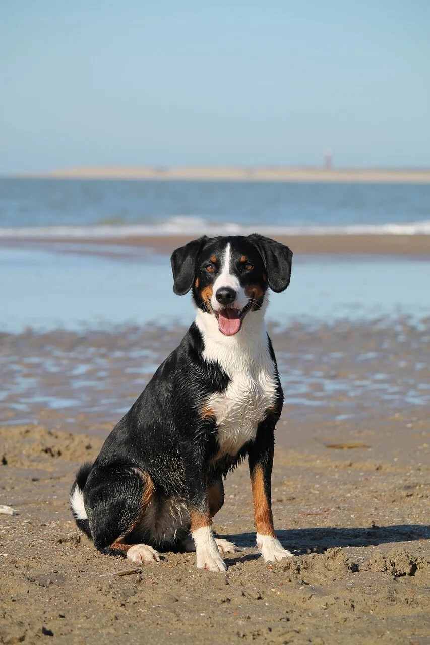 Welcome to Reading u3a - Reading u3a